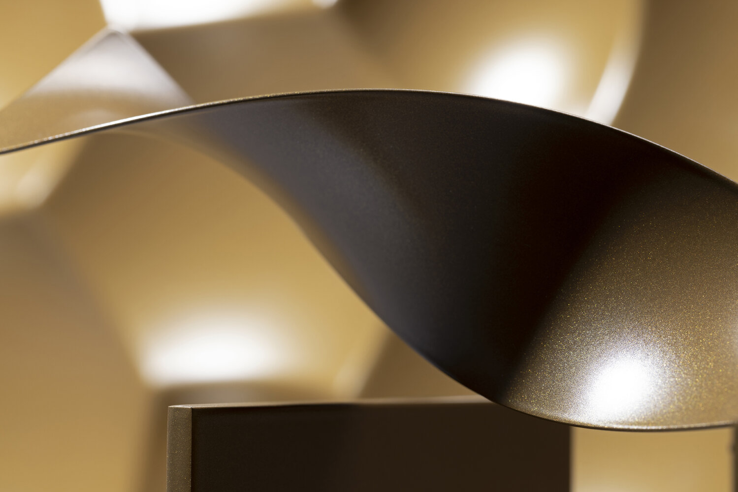 Back to the Gallery 59