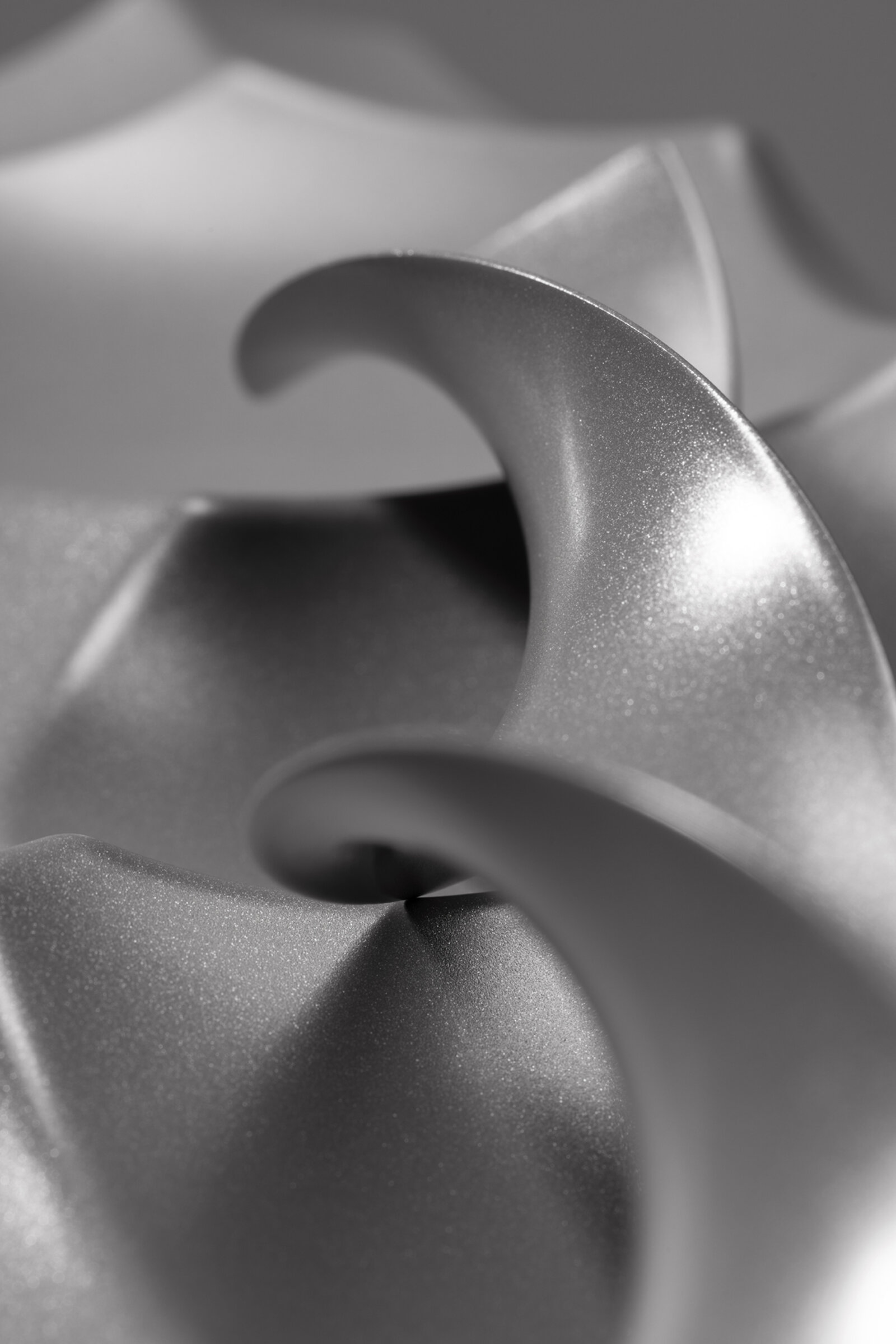 Back to the Gallery 59